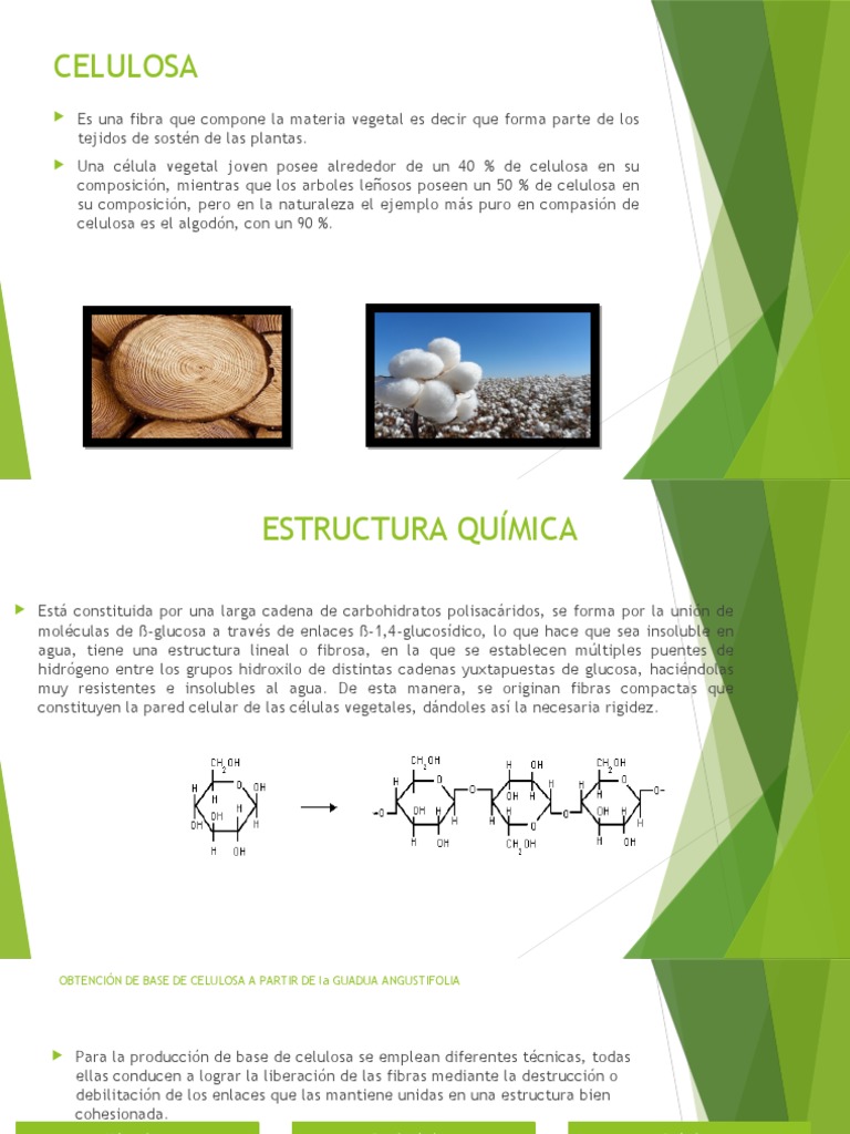 Celulosa | PDF | Celulosa | Ciencias fisicas