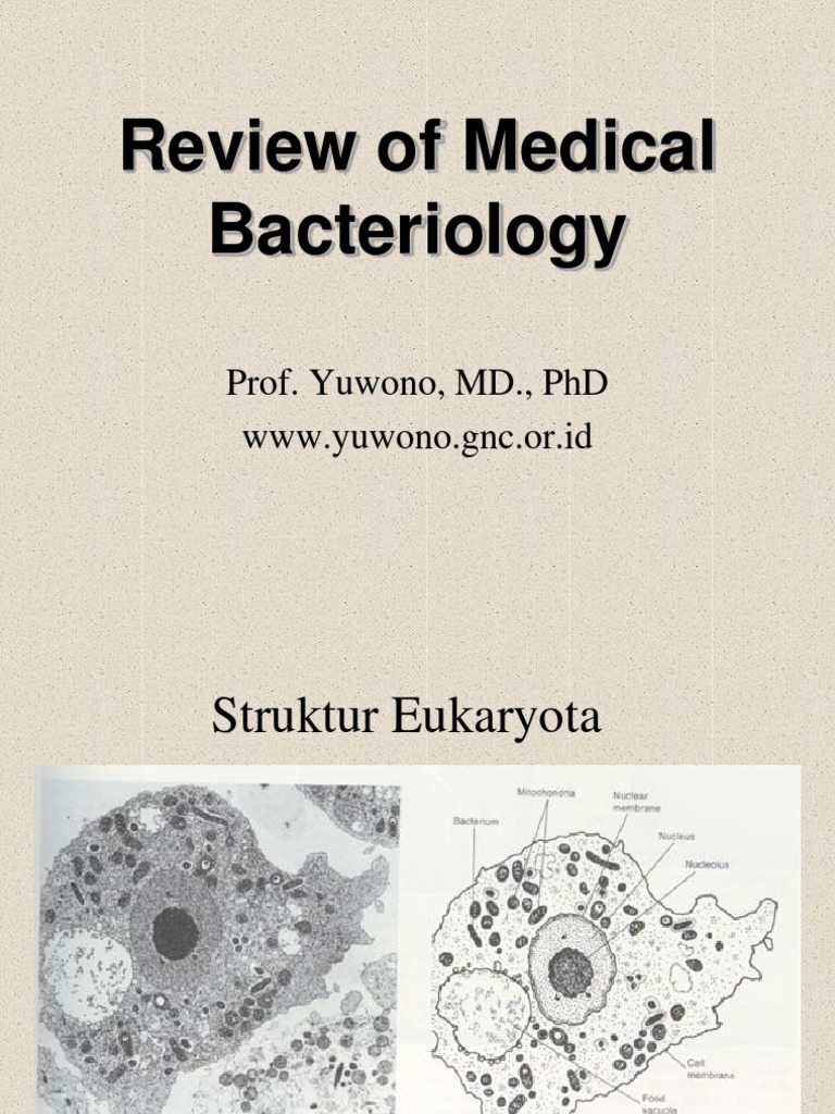 Review of Medical Bacteriology: A Comprehensive Overview of Bacterial ...