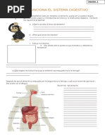 Examen de Naturales Sexto de Noviembre | PDF