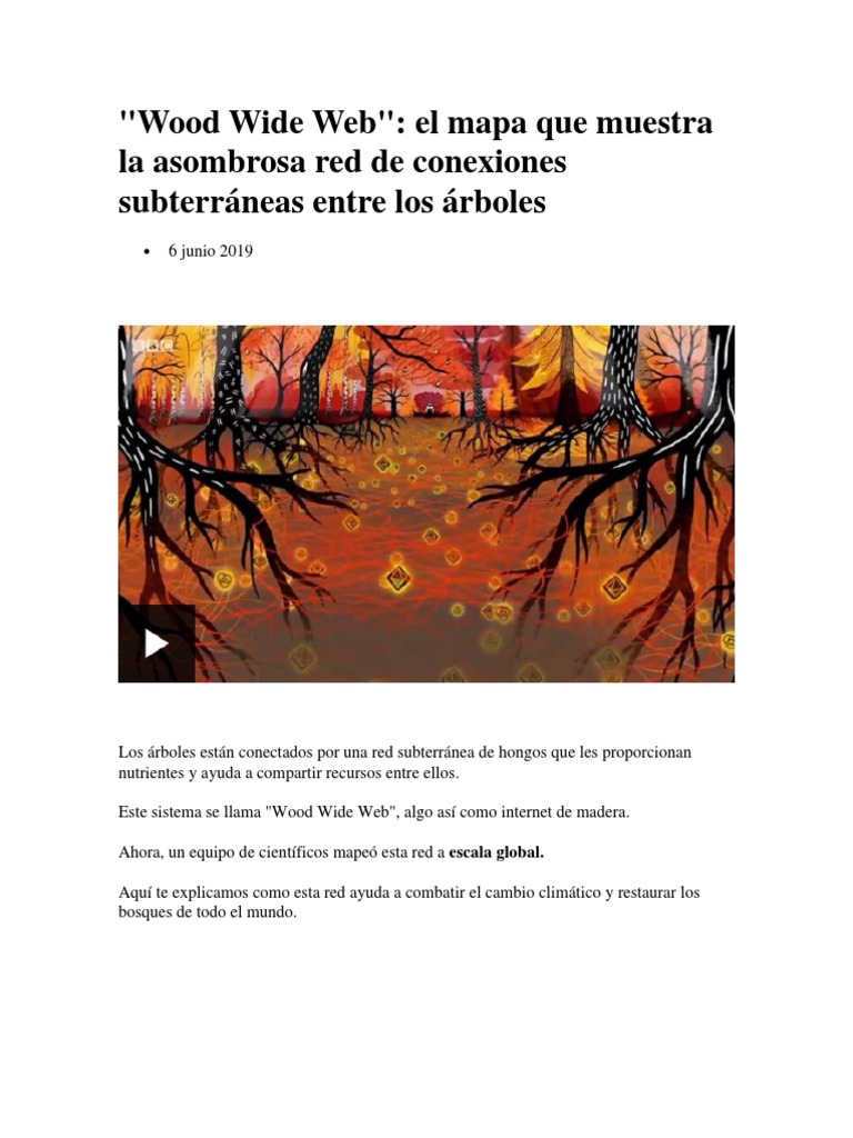 Wood Wide Web PDF | PDF