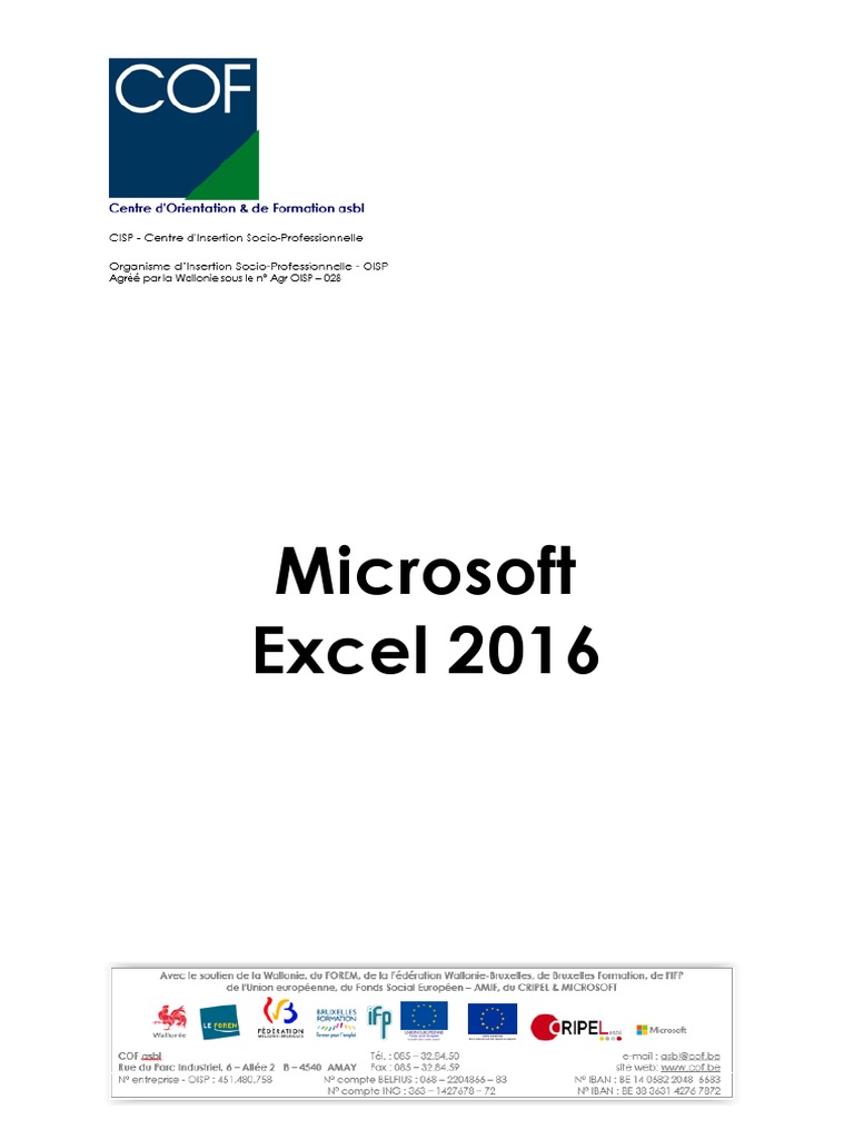Syllabus Excel 2016 | PDF | Microsoft Excel | Informatique