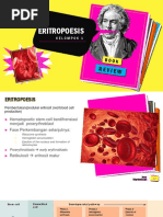 Pathophysiology Thalassemia | PDF | Endocrine System | Anatomy