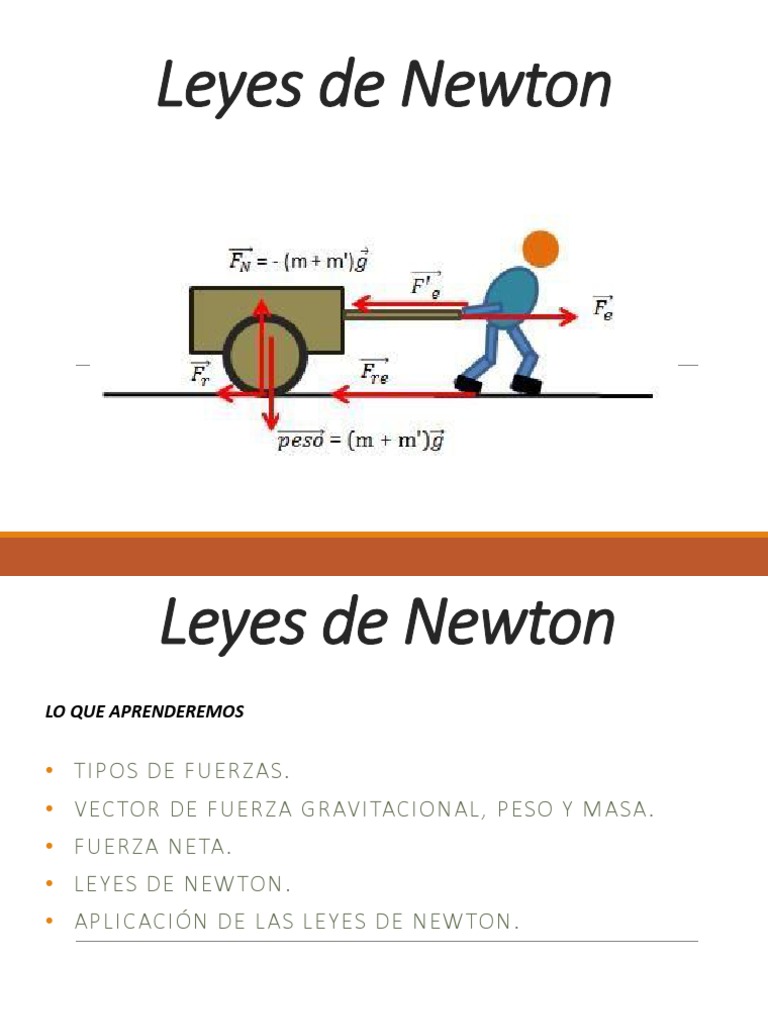 Gráficas de las Leyes de Newton | PDF | Las leyes del movimiento de ...