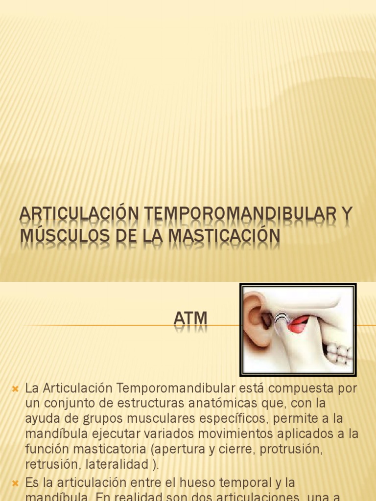 3 ATM y Músculos de La Masticación | PDF | Cara | Sistema ...