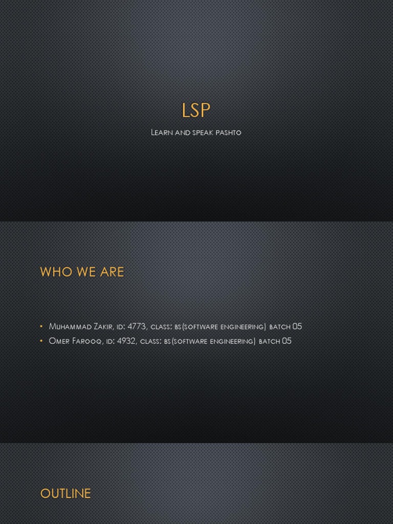 LSP Project Presentation | PDF | Communication | Software
