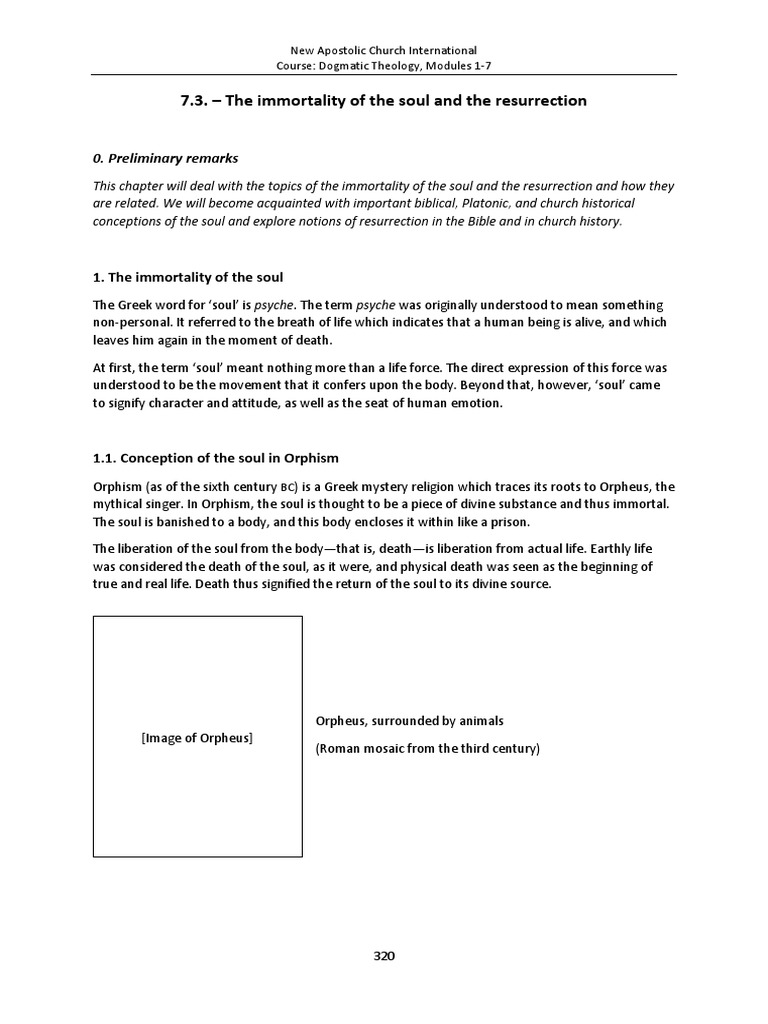The Soul | PDF | Immortality | Soul