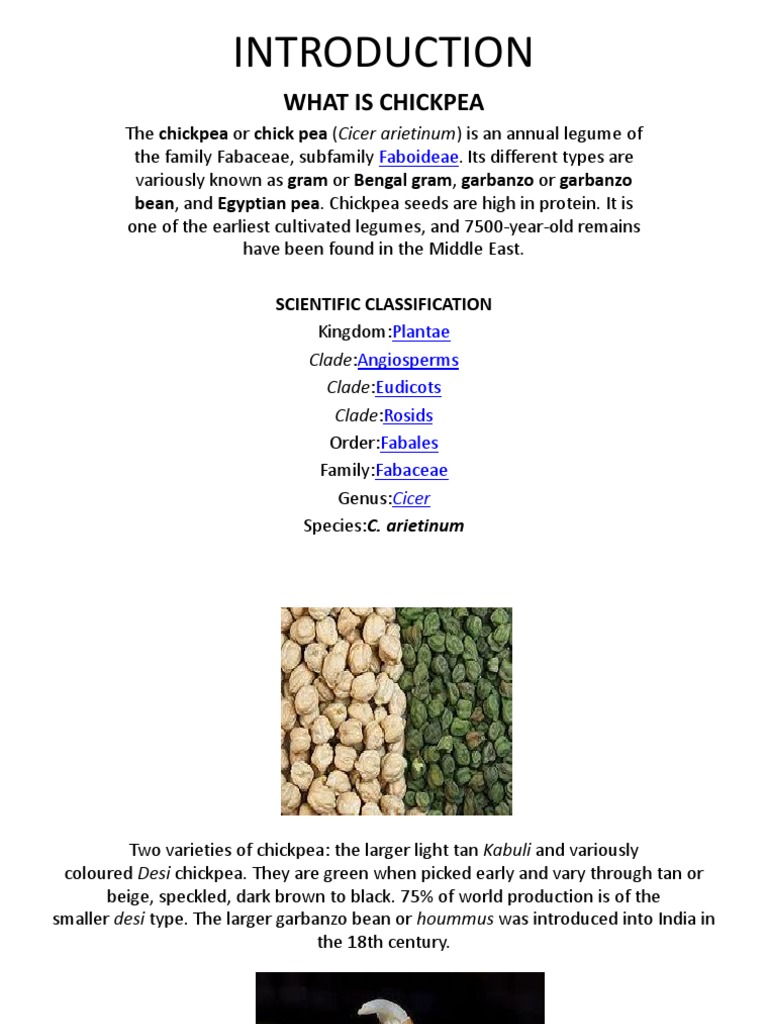 Chickpea | PDF | Chickpea | Legume