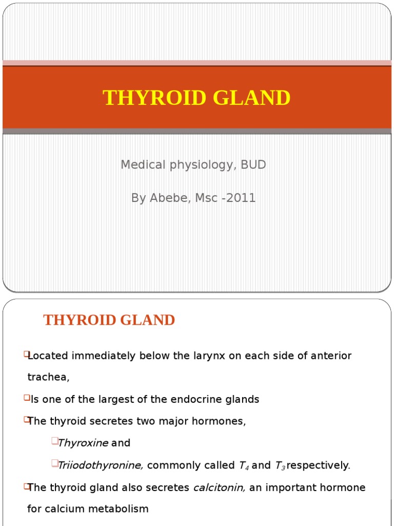 Thyroid Gland | PDF | Thyroid | Molecular Biology