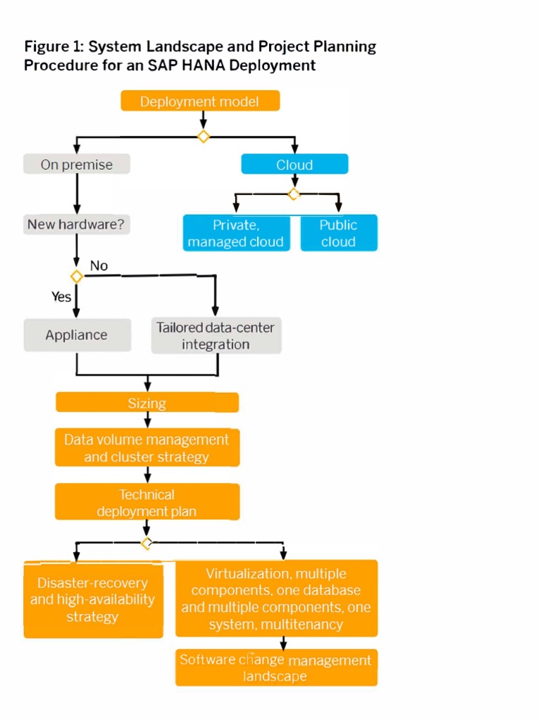 SAP HANA Deployment Options PDF | PDF