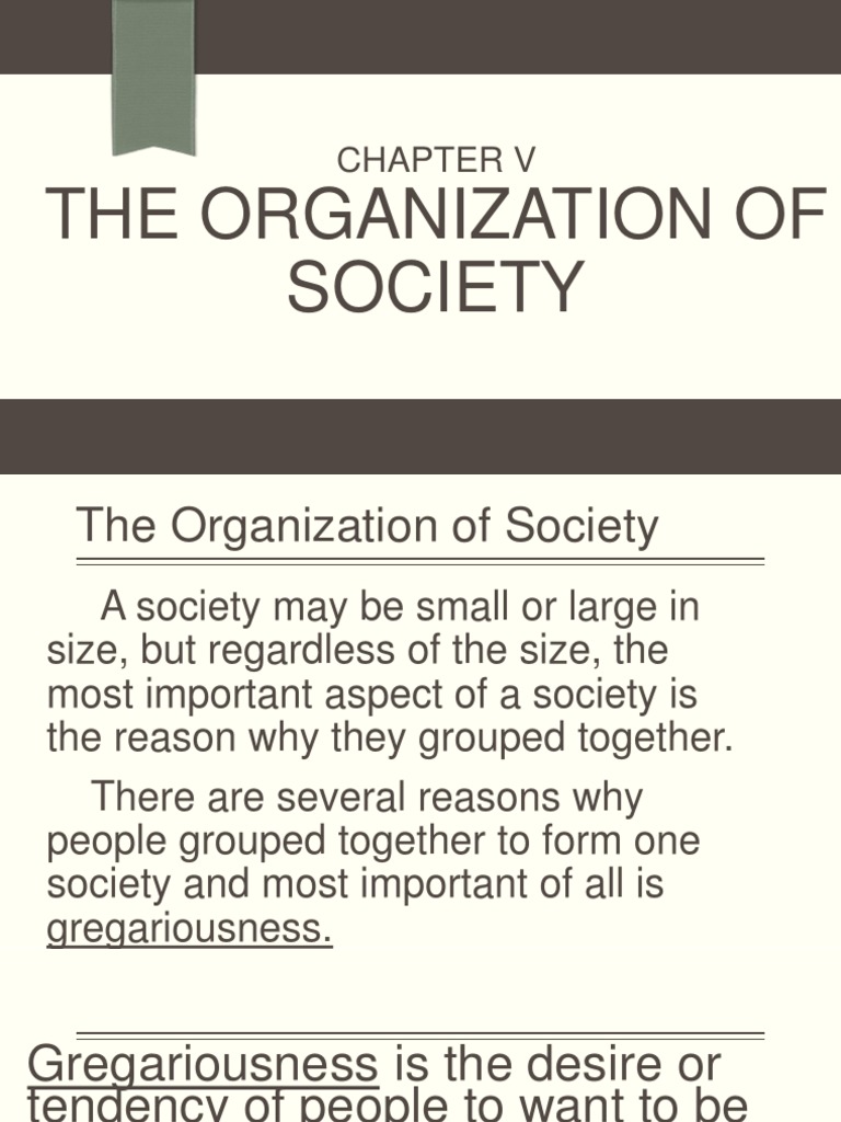 The Organization of Society | PDF | Kinship | Social Group