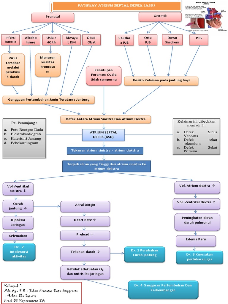 Pathway ASD PDF | PDF