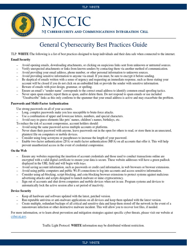 General Cybersecurity Best Practices Guid | PDF | Malware | Password