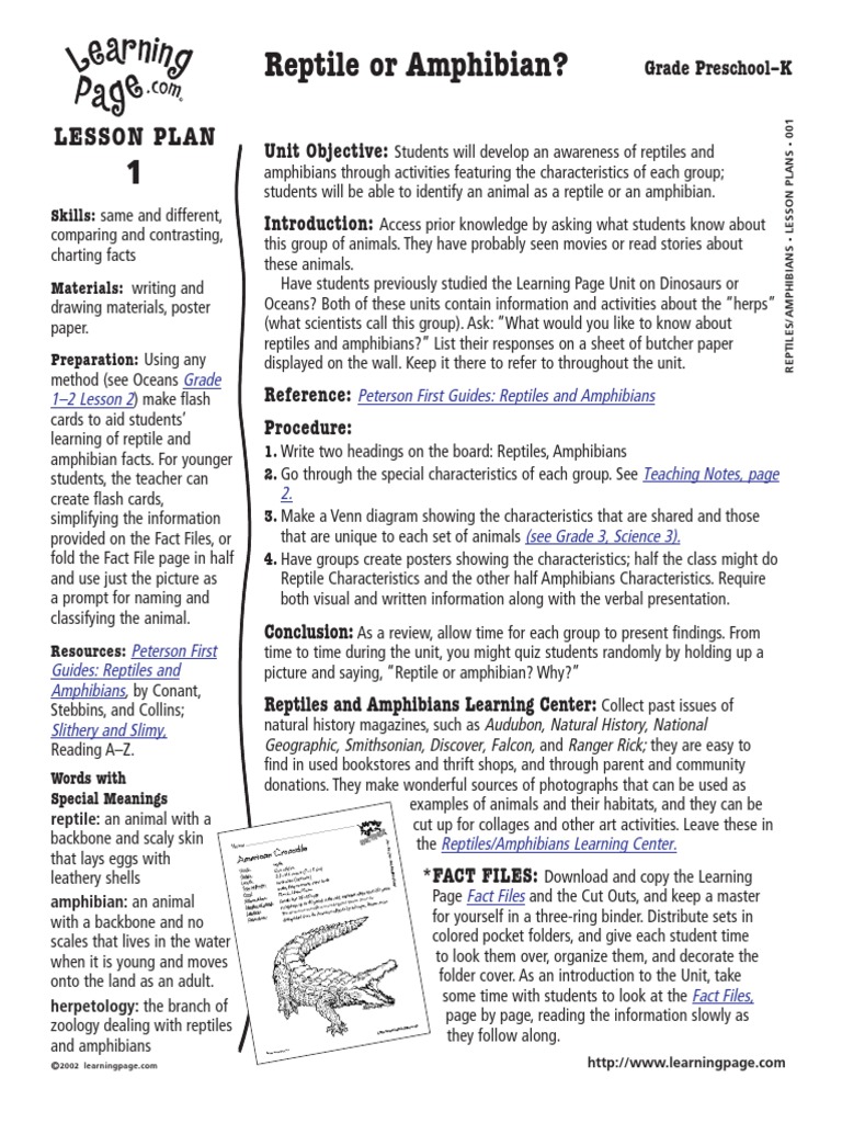 Reptile or Amphibian?: Lesson Plan | PDF | Turtle | Frog