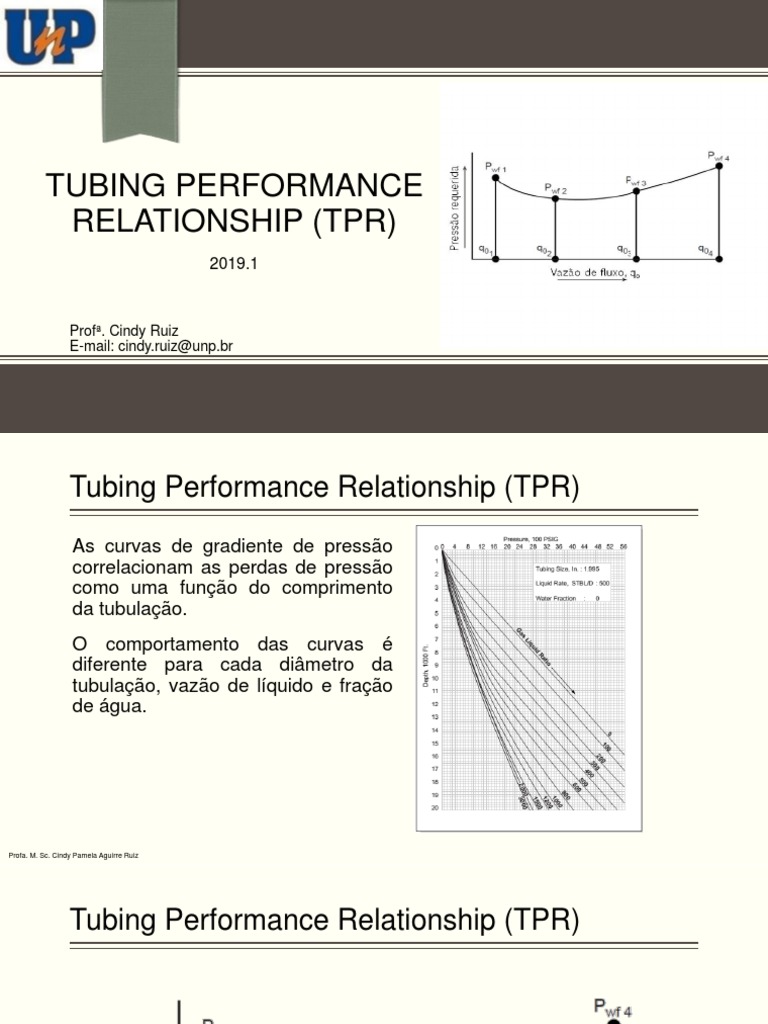 TPR - Tubing Performance Relationship | PDF | Pressão | Química