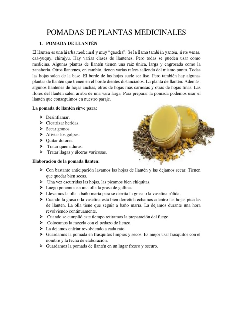 Pomadas Medicinales Caseras y Usos | PDF | Medicación tópica | Eucalipto