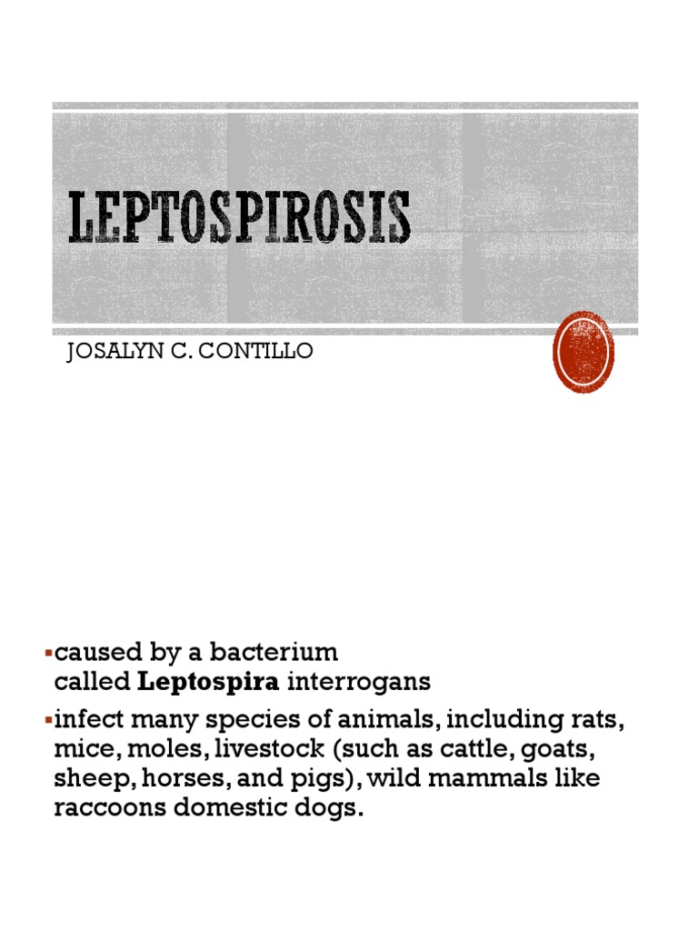 An Overview of Leptospirosis: Causative Agent, Risk Groups, Diagnosis ...