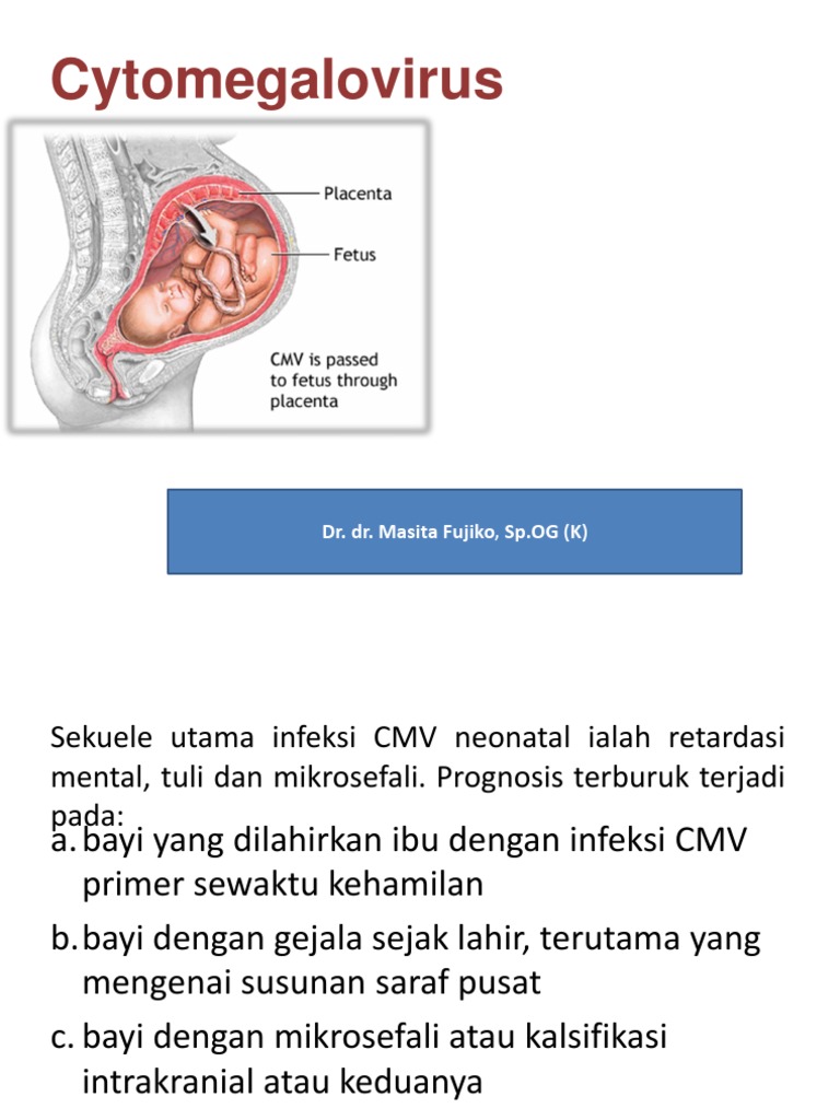 Cytomegalovirus | PDF