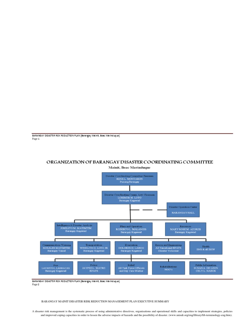 BDRRM Revised | PDF | Emergency Management | Disaster Risk Reduction
