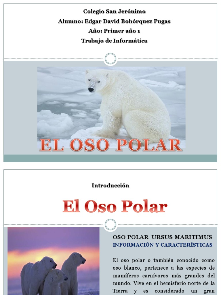 Presentacion Oso Polar | Oso polar | Organismos | Prueba gratuita de 30 ...