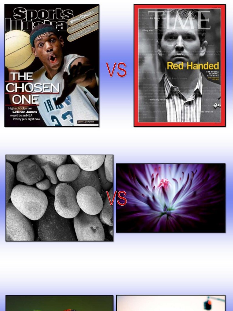 Basic Principles of Graphics and Layout | PDF