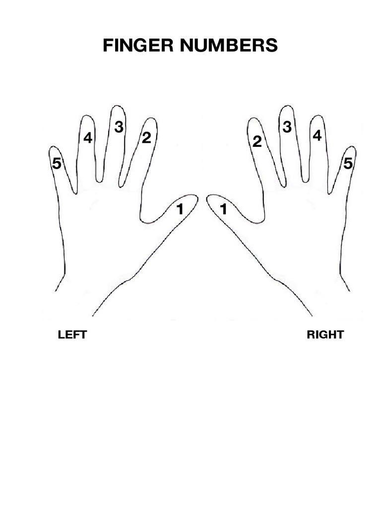 Finger Numbers | PDF
