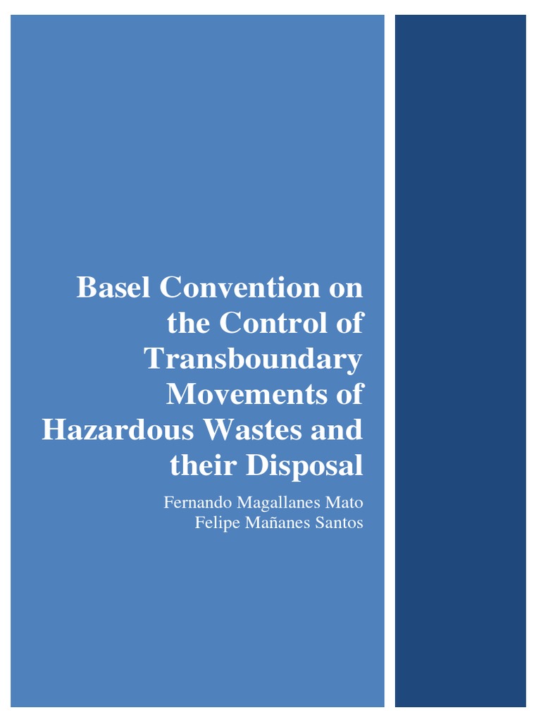 Analysis of the History, Objectives, and Effectiveness of the Basel ...