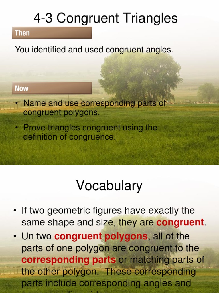 Congruent Triangles Guide | PDF | Space | Euclidean Geometry
