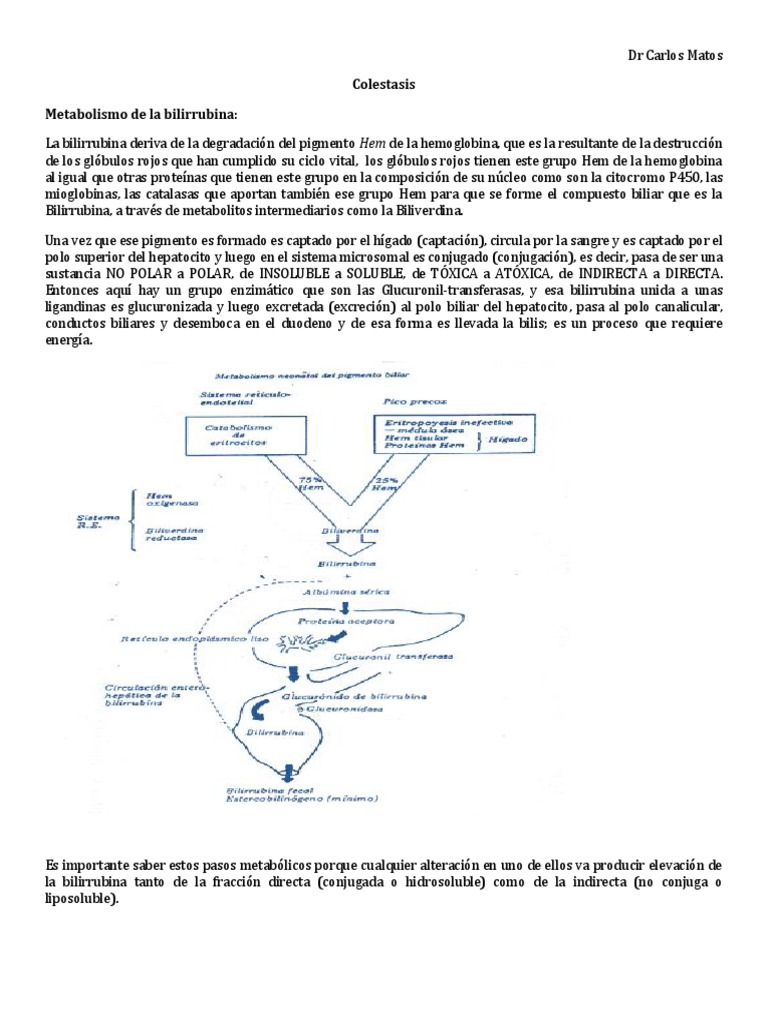 Colestasis | PDF | Hepatitis | Vesícula biliar