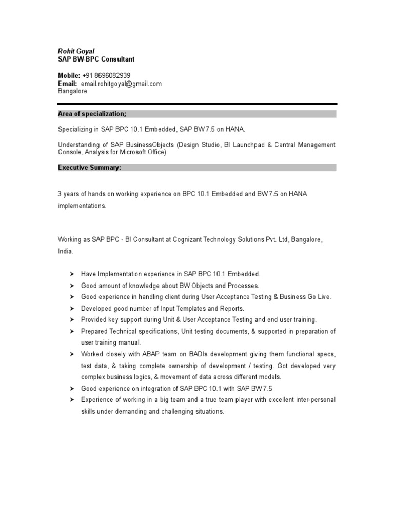 SAP BPC Sample | PDF | Sap Se | Information Technology