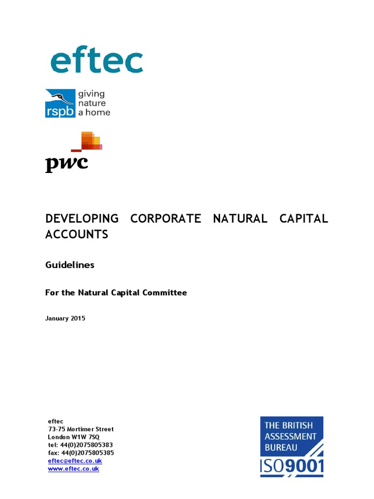 NCC Research Cnca Guidelines NEW | PDF | Valuation (Finance) | Capital ...