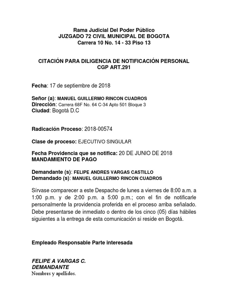 Notificación Personal Articulo 291 | PDF | Gobierno | Poder judicial ...