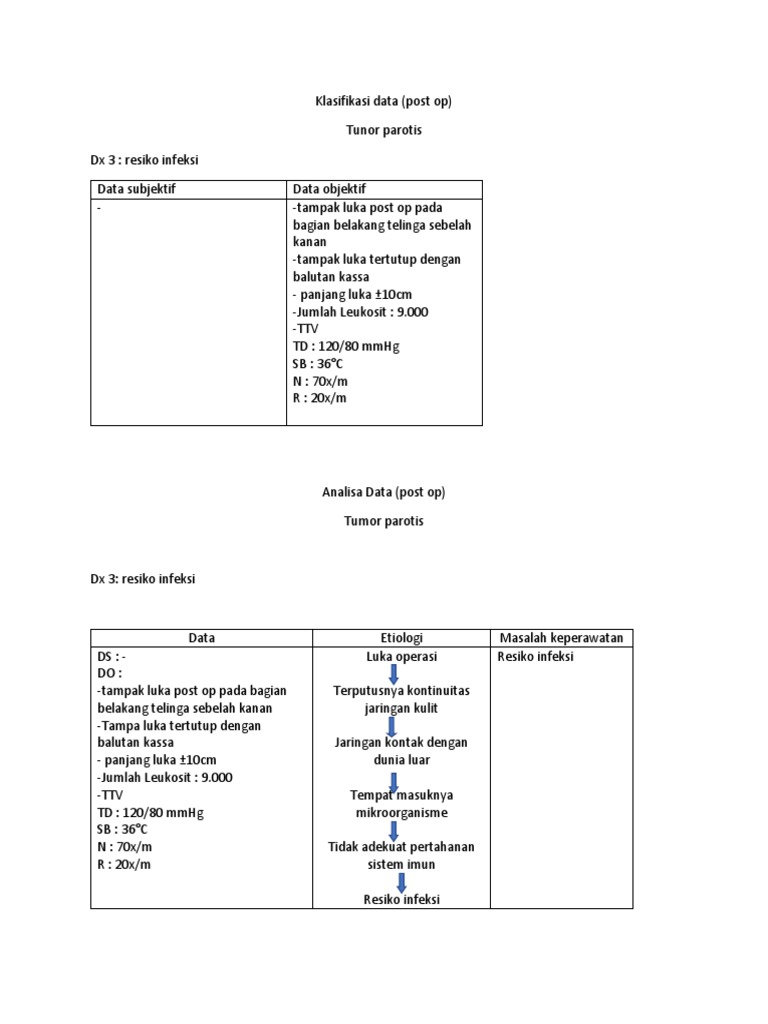 Klasifikasi, Analisa, Diagnosa Resiko Infeksi | PDF