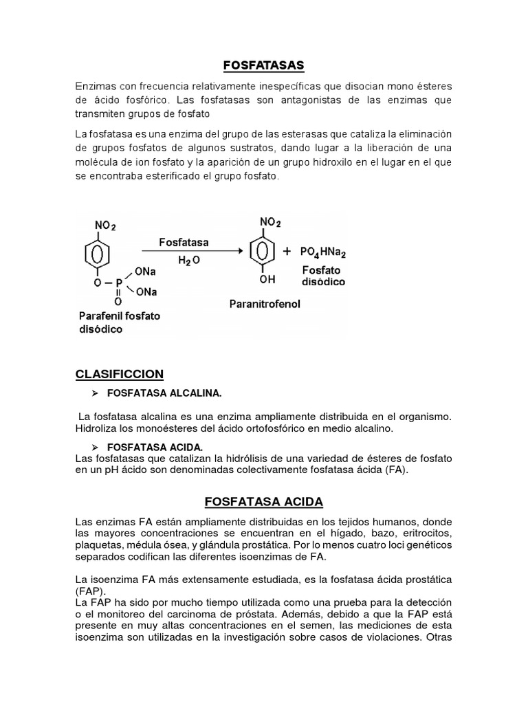 FOSFATASAS Monografia | PDF | Química | Especialidades Medicas