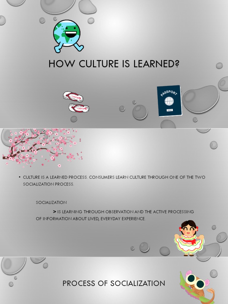 Understanding How Culture is Learned | PDF | Socialization | Learning