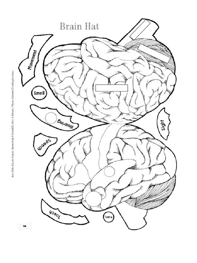 Brain Hat PDF | PDF