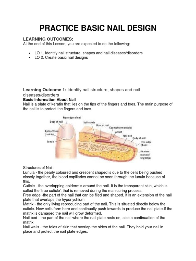 Practice Basic Nail Design | Nail (Anatomy) | Integumentary System | Free 30-day Trial | Scribd