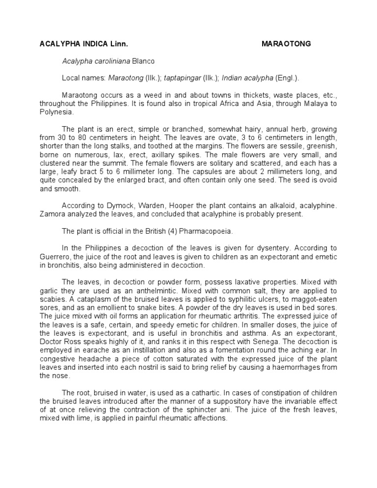 Acalyphine | PDF | Botany | Horticulture And Gardening