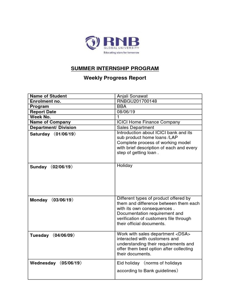 Summer Internship Program Weekly Progress Report Pdf Business