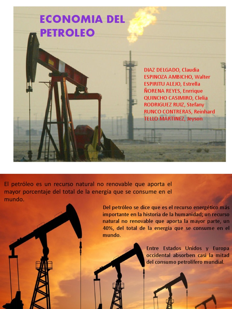 Grupo 2. Economia Del Petroleo | PDF | Crisis petrolera de 1973 | OPEP