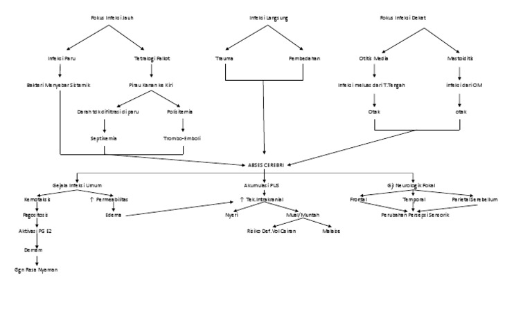 Pathway Abses Cerebri | PDF