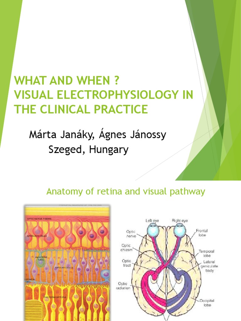 What and When ? Visual Electrophysiology in The Clinical Practice | PDF ...