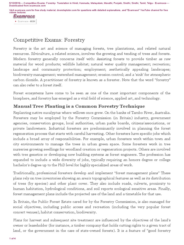 Forestry Basics | PDF | Forestry | Natural Resource Management