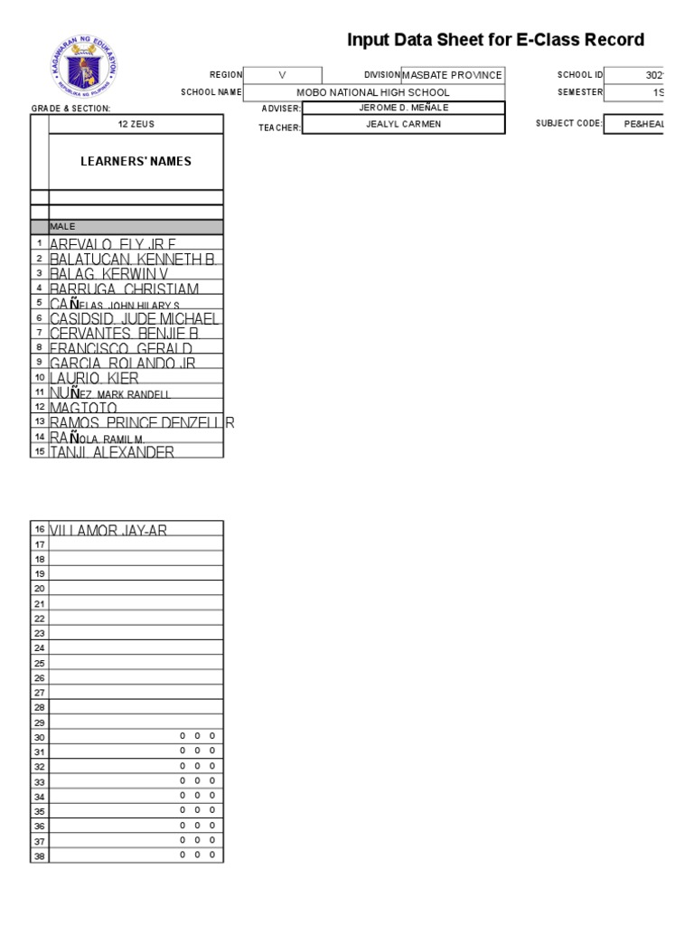 Input Data Sheet For E-Class Record: Learners' Names | PDF