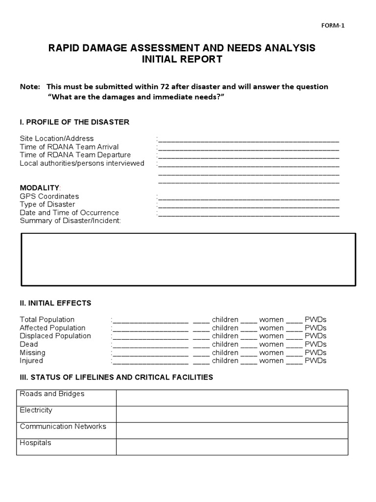 Rapid Damage Assessment and Needs Analysis Initial Report | PDF ...