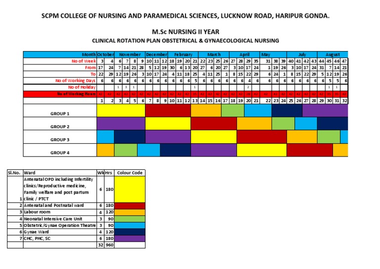 Clinical Rotation Plan for Nursing Students | PDF