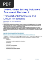 IATA Intl PI970 I PAX | PDF