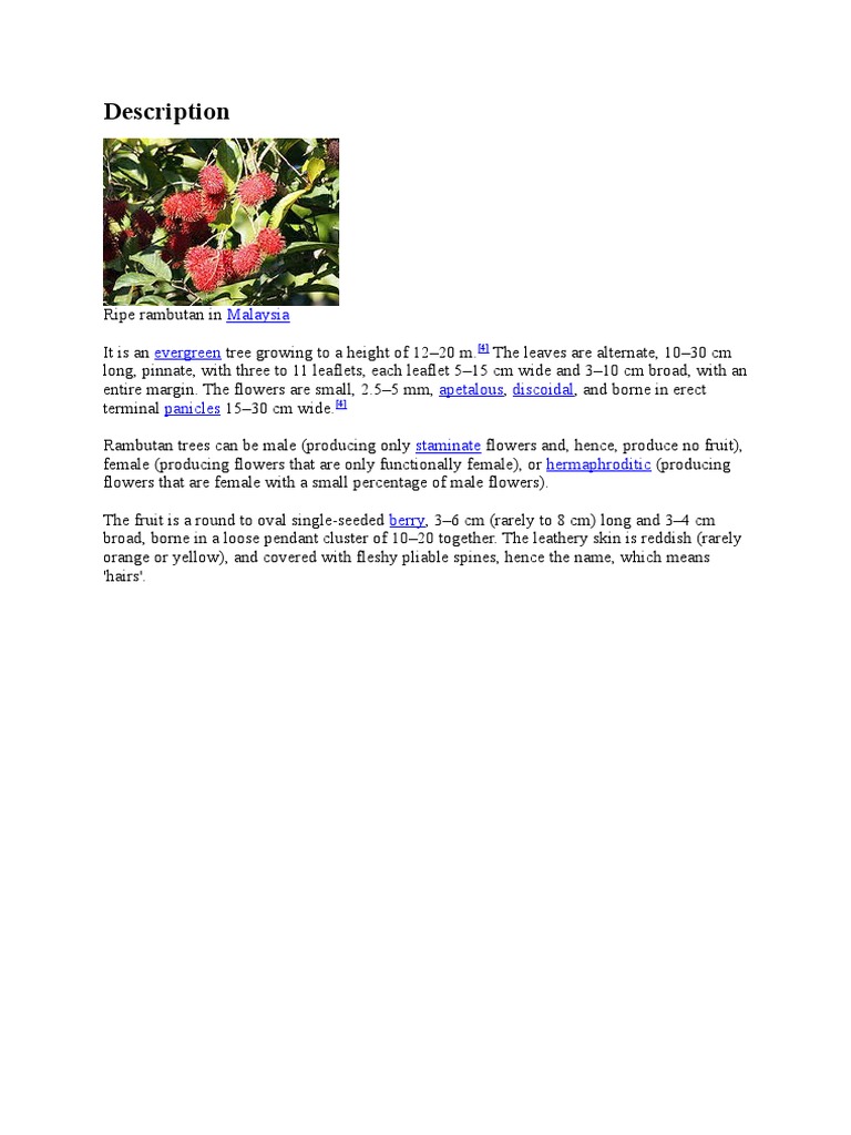 Rambutan 4 | PDF | Science & Mathematics | Poetry