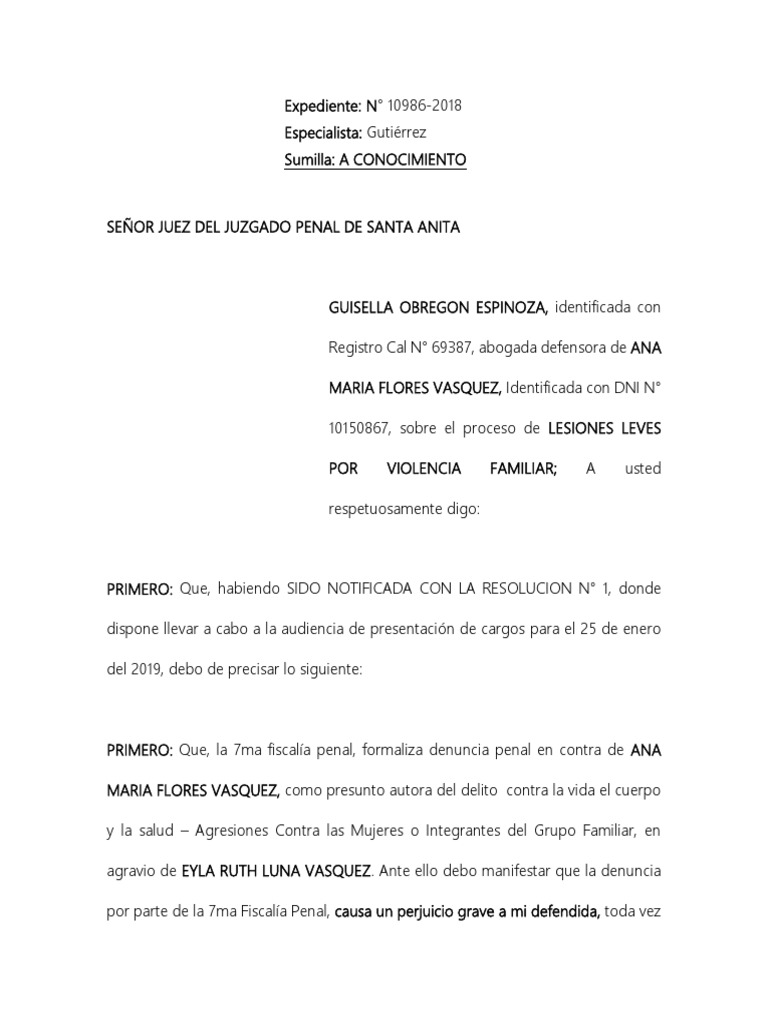 A Conocimiento de Ana Maria Flores | PDF | Instituciones sociales ...