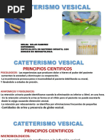 CISTOCLISIS | PDF | Especialidades Medicas | Riego