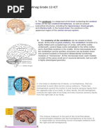 OPT Plus Form 1 | PDF